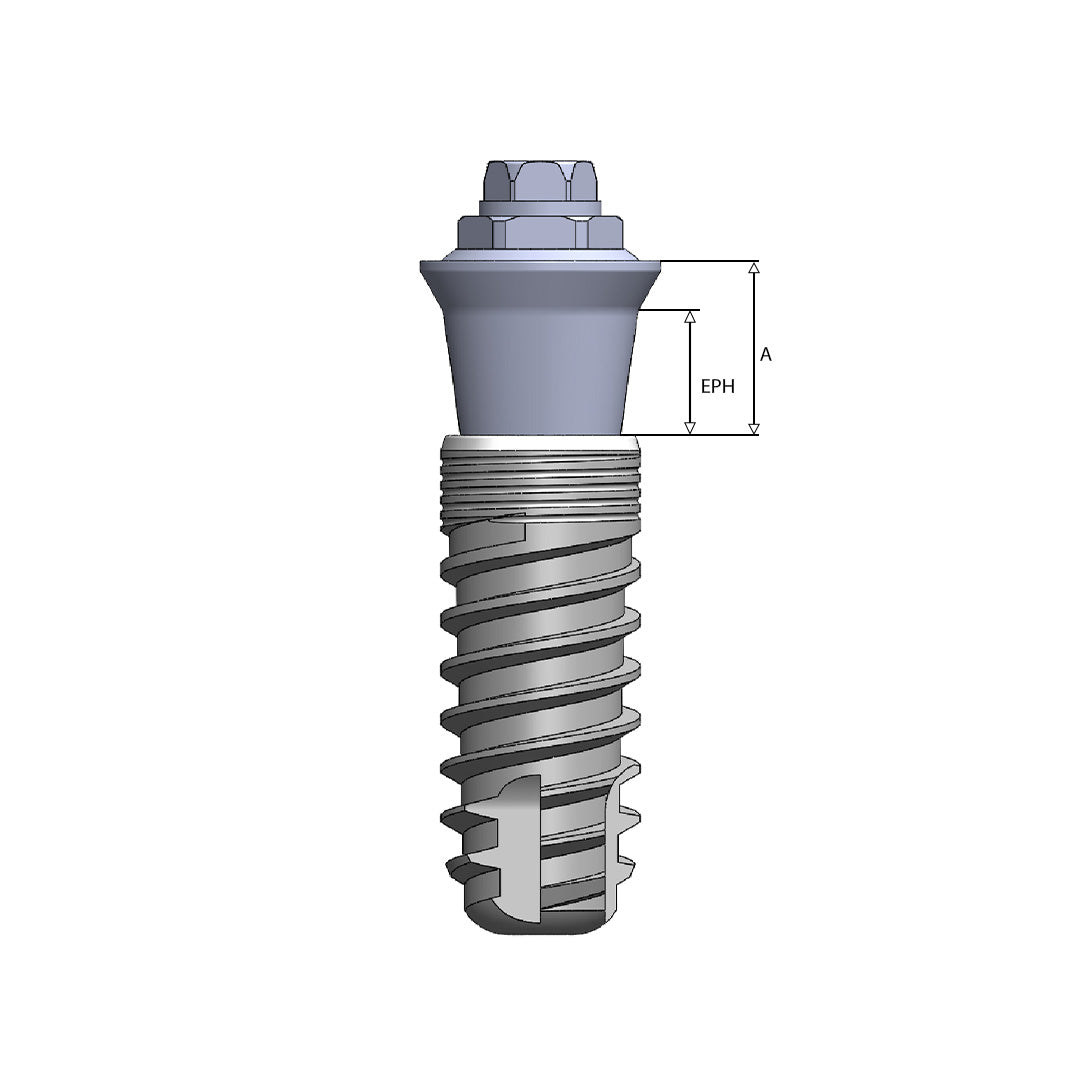 SR Abutments single-unit – 3D Openminds
